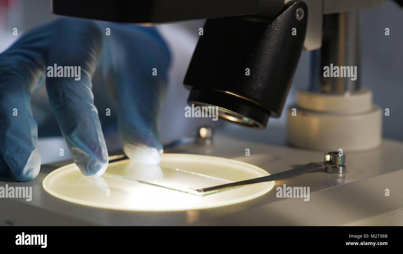Medical research, scientist viewing material sample under microscope ...