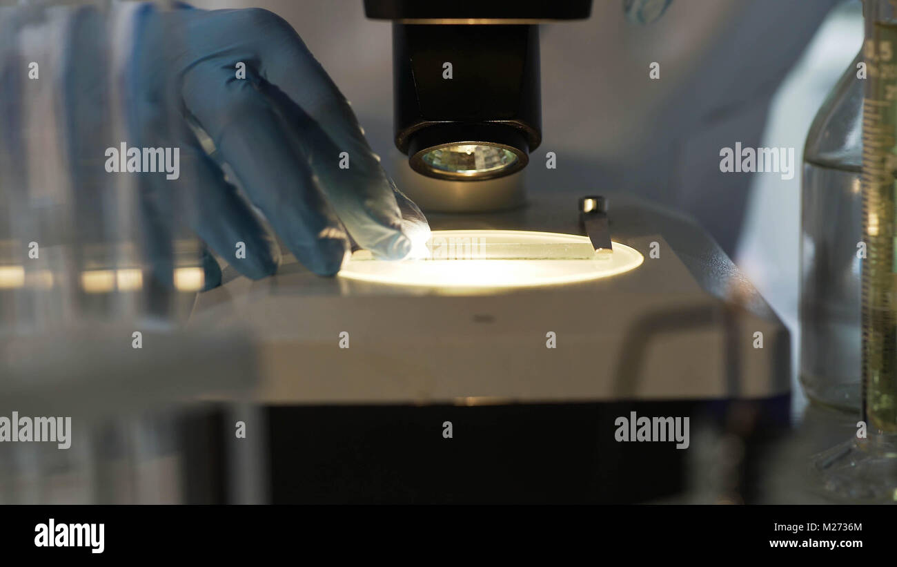 Medical scientist viewing material sample under microscope, laboratory ...