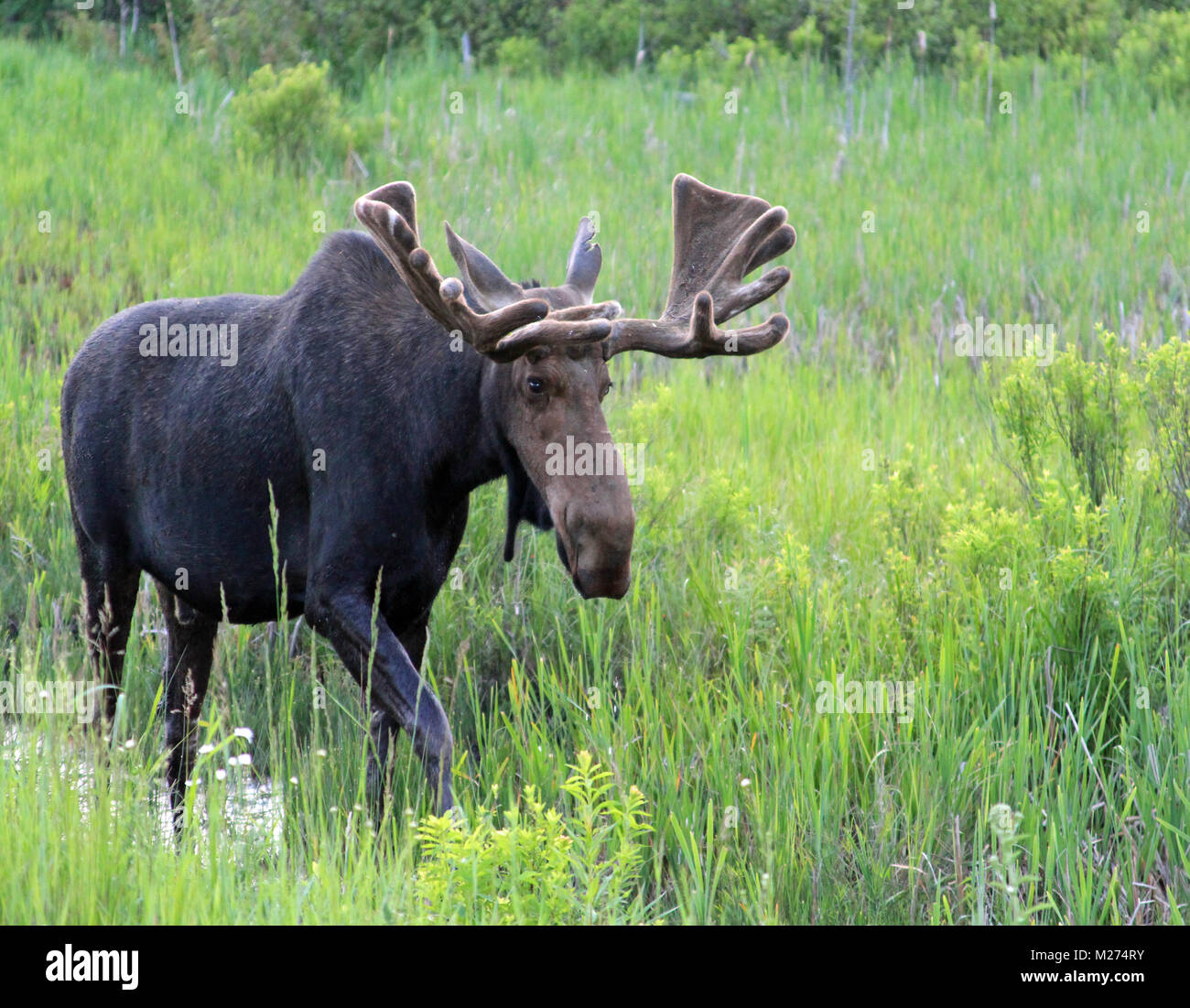 Large format landscape hi-res stock photography and images - Alamy
