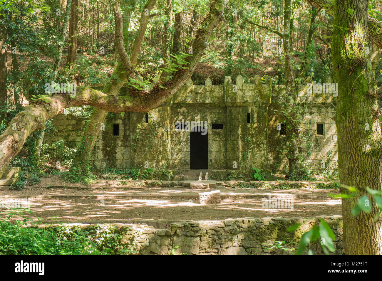 The enchanted forest of Aldan, Galicia, Spain Stock Photo - Alamy