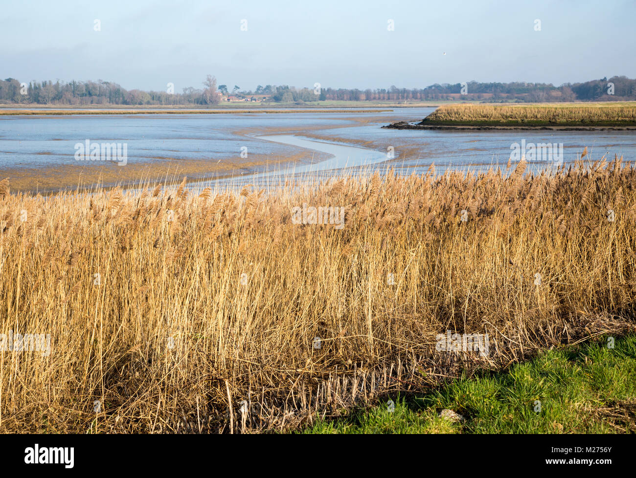 Meanders in mud channel low tide River Deben, Kirton Creek, Suffolk ...