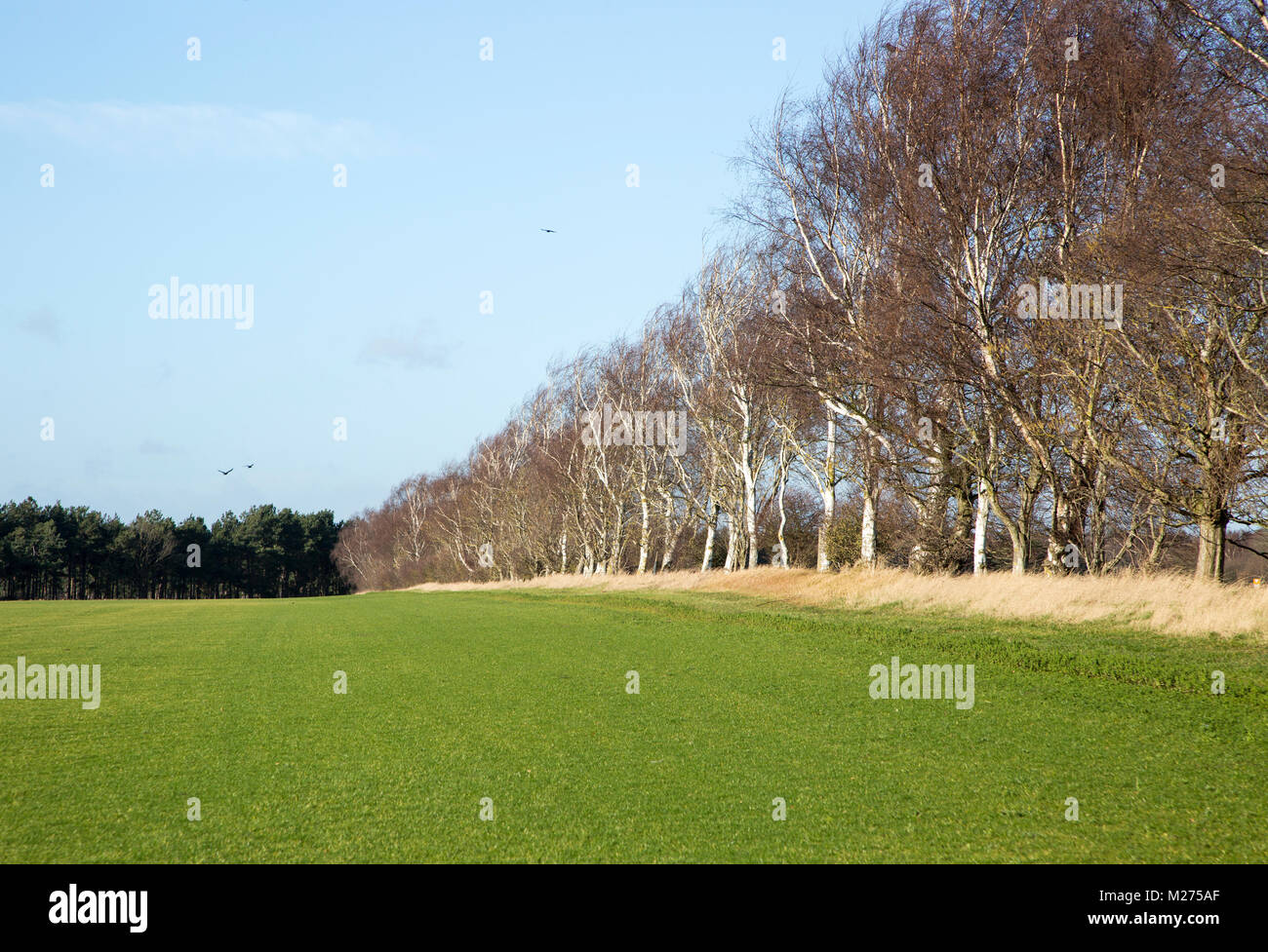 Grab line hi-res stock photography and images - Alamy