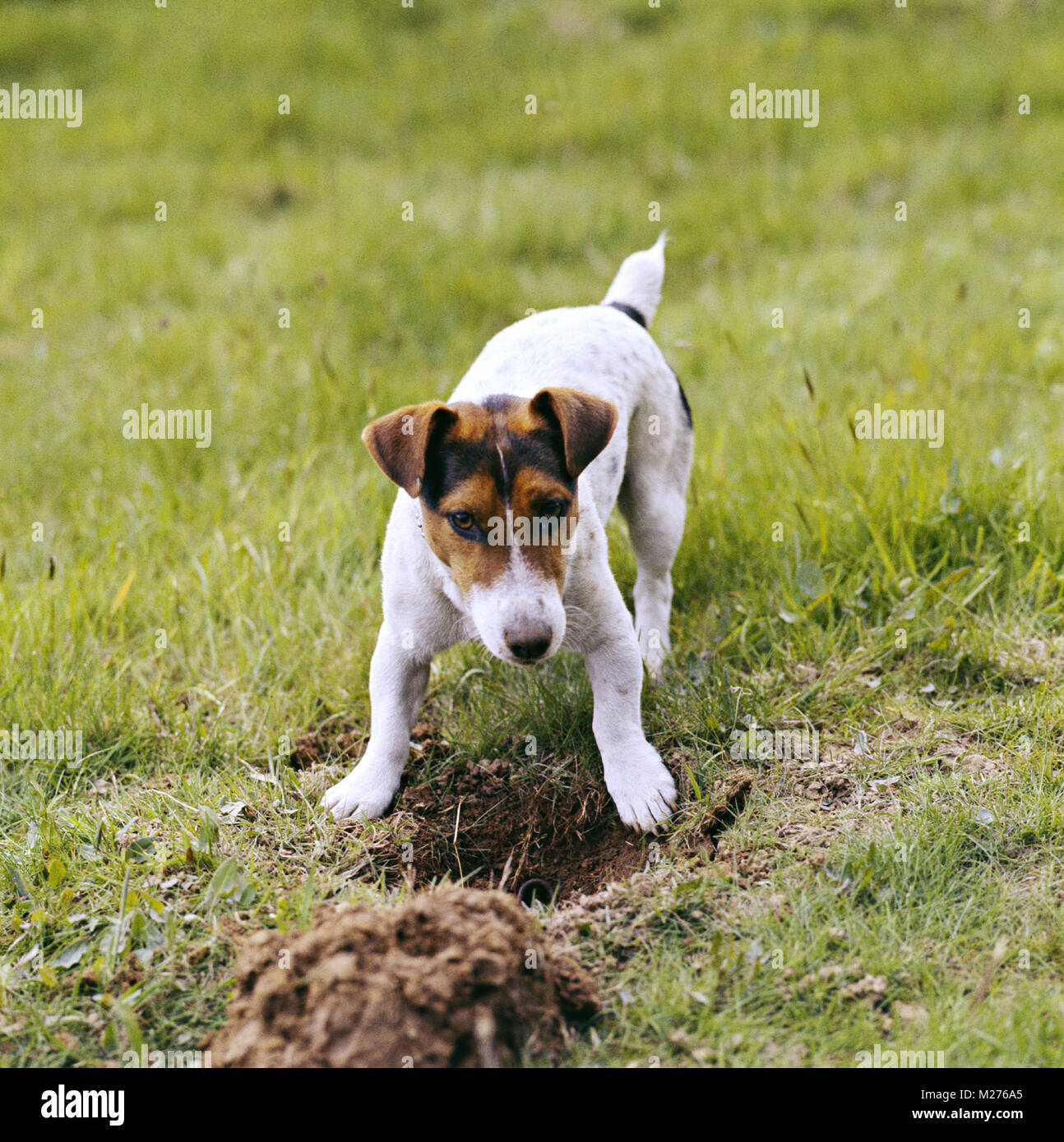 Sally russell hi-res stock photography and images - Alamy