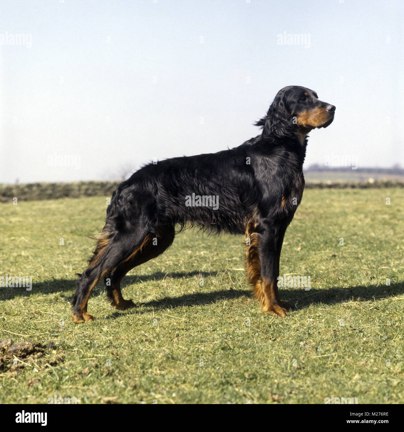 Upperwood hi-res stock photography and images - Alamy