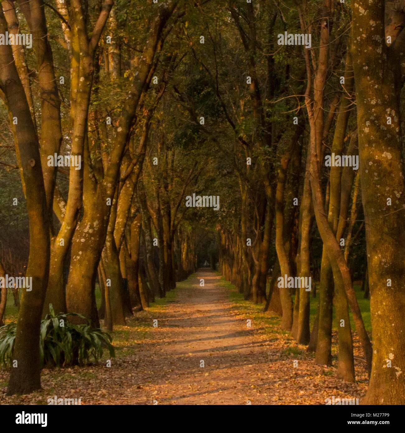 Beautiful urban park in hi-res stock photography and images - Alamy