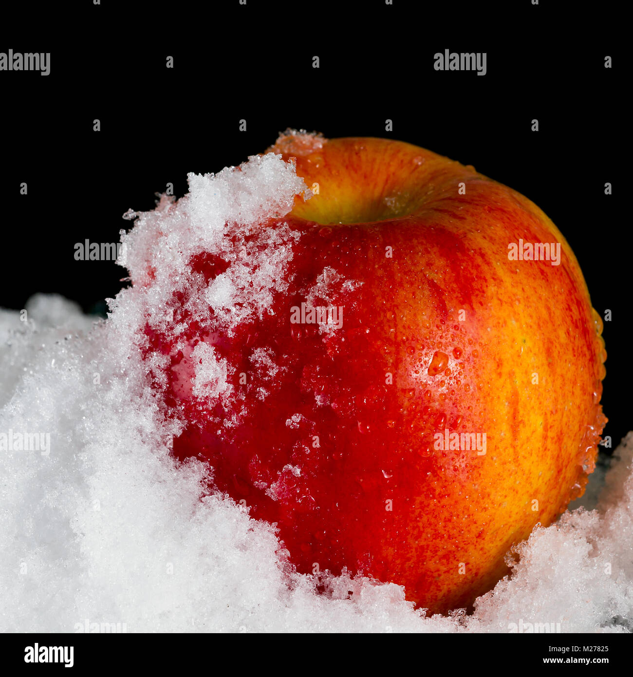 Red apple in the snow on a black background Stock Photo - Alamy