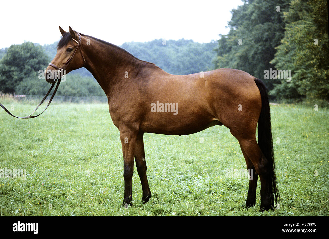 Sally anne thompson hi-res stock photography and images - Alamy