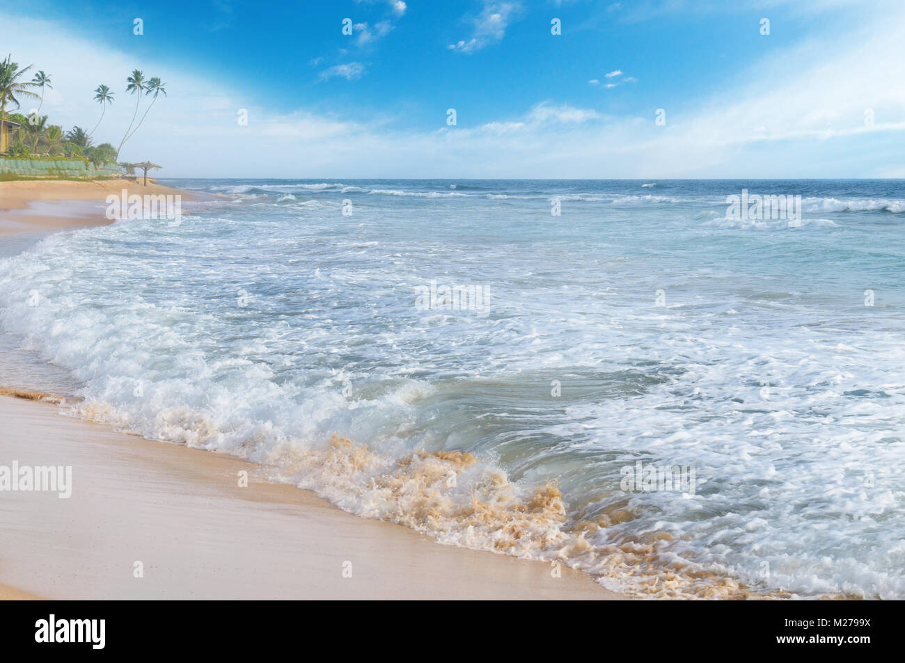 Indian ocean bay coconut palms hi-res stock photography and images - Alamy