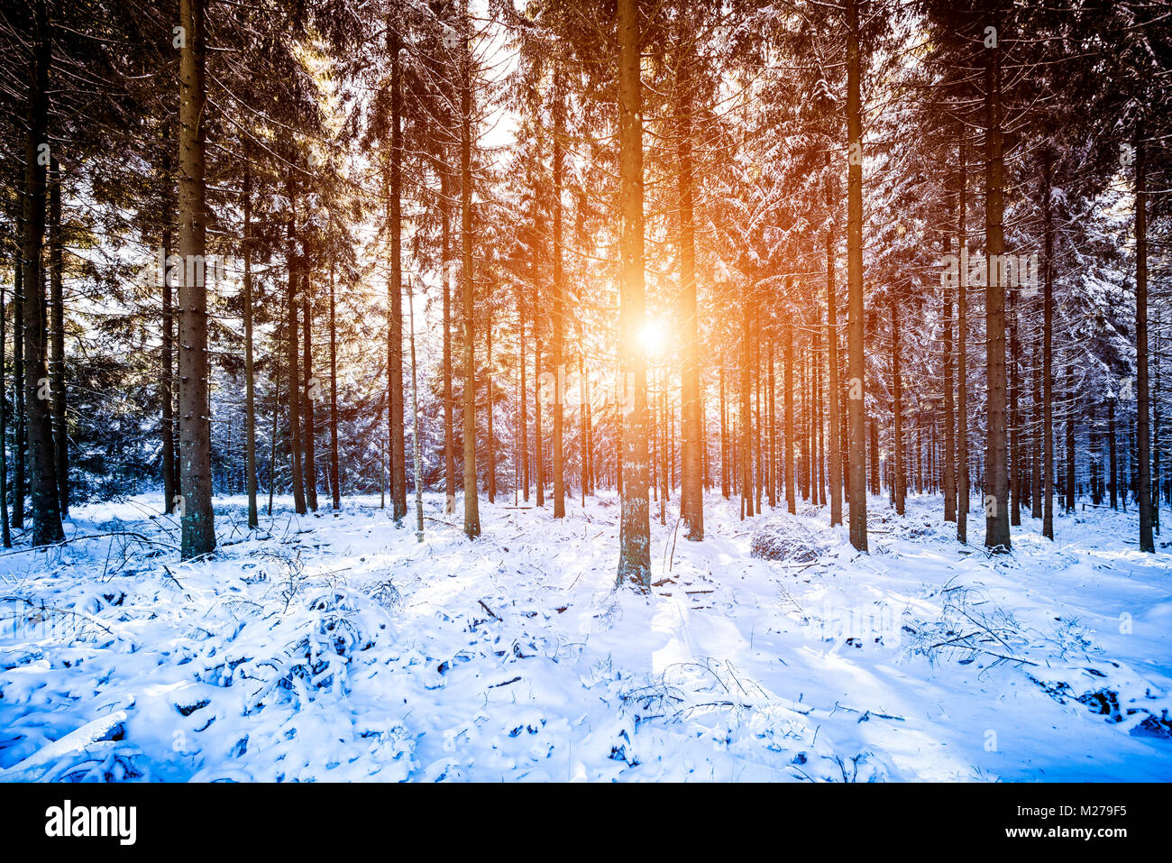 High Fens Winter Landscape Stock Photo - Alamy