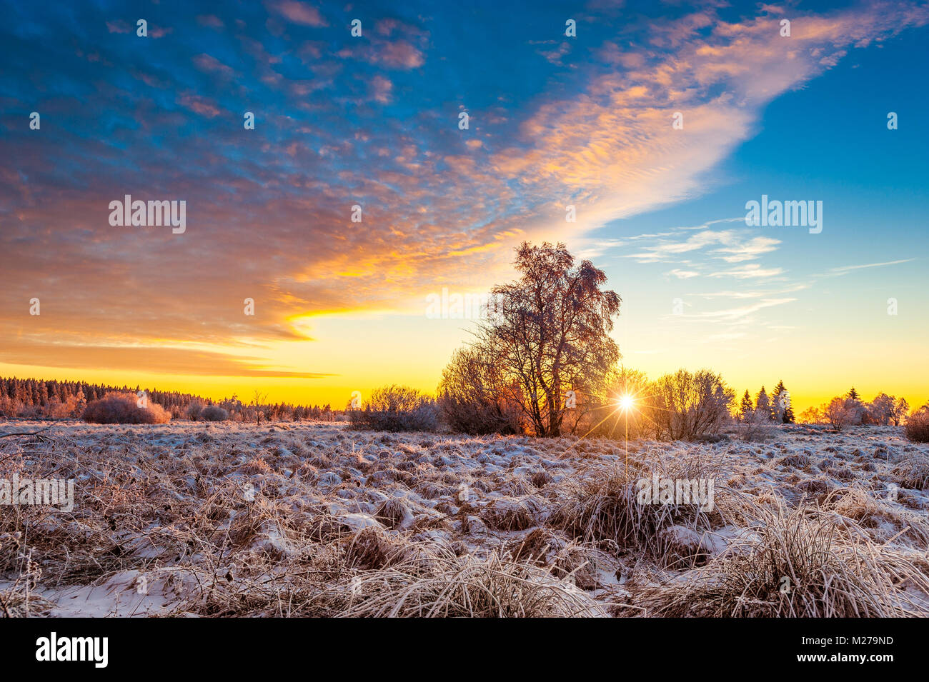 High Fens Winter Landscape Stock Photo - Alamy