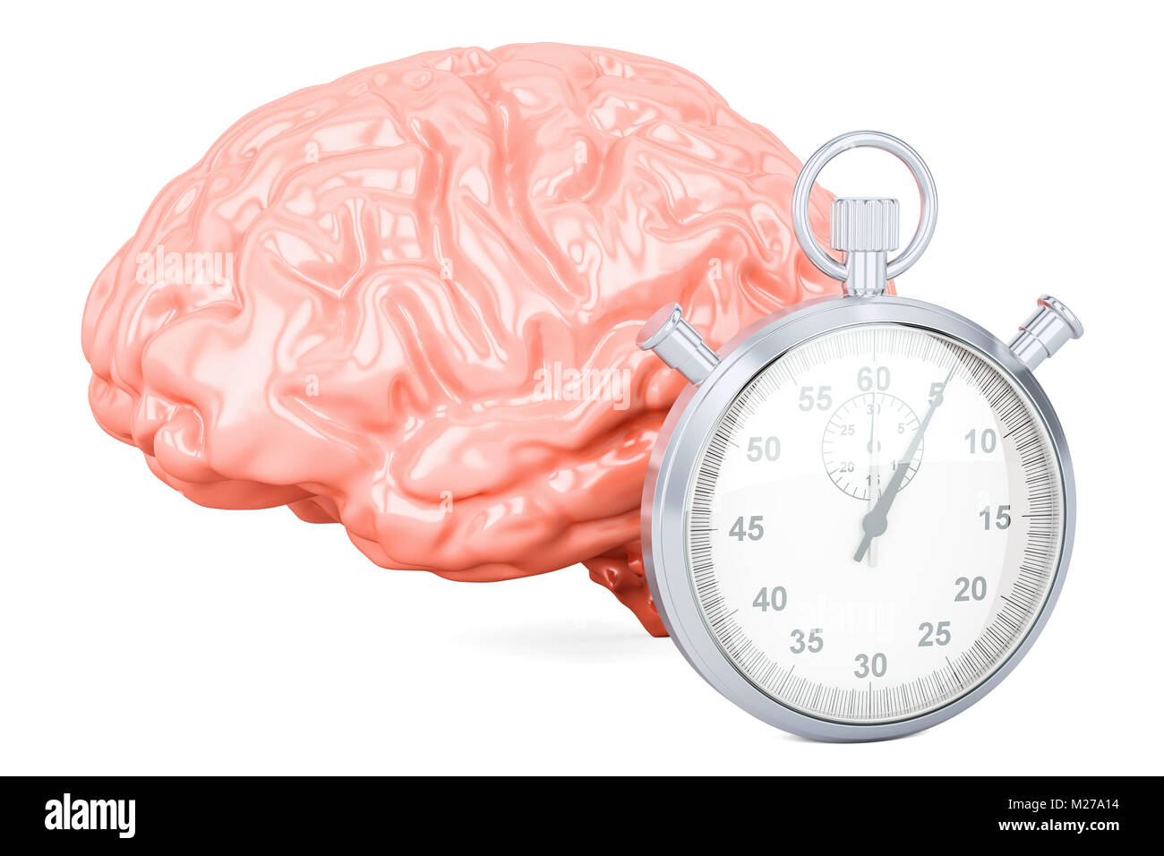 Human brain with stopwatch, 3D rendering isolated on white background ...