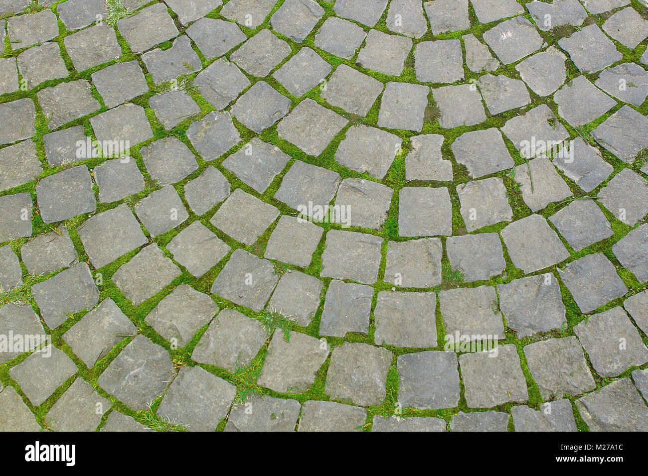 Texture of a cobblestone road, background, texture. a stone road in the ...