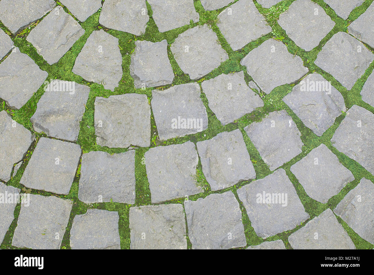 Texture of a cobblestone road, background, texture. a stone road in the ...