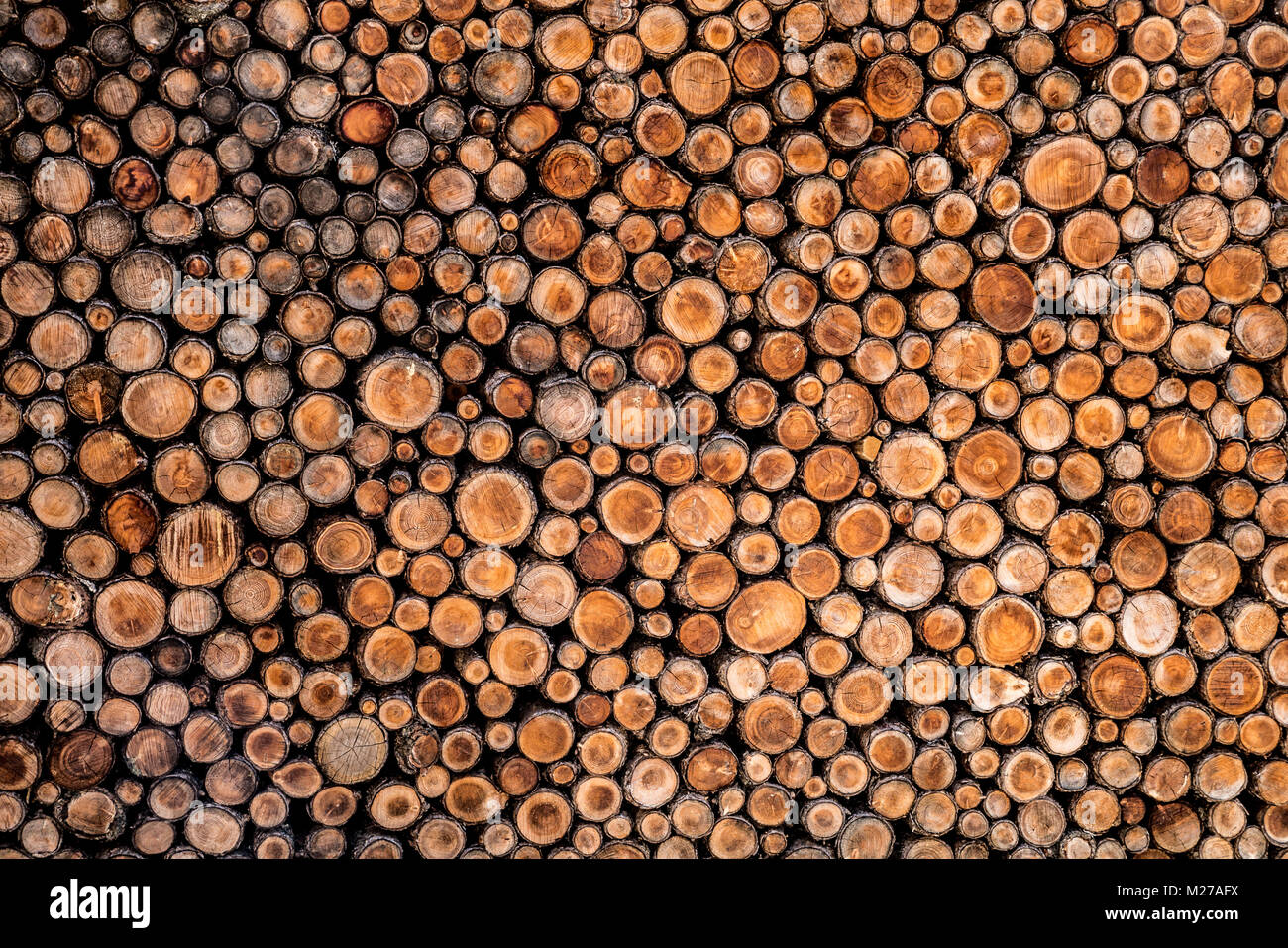 wooden round pattern and texture with trunks Stock Photo - Alamy