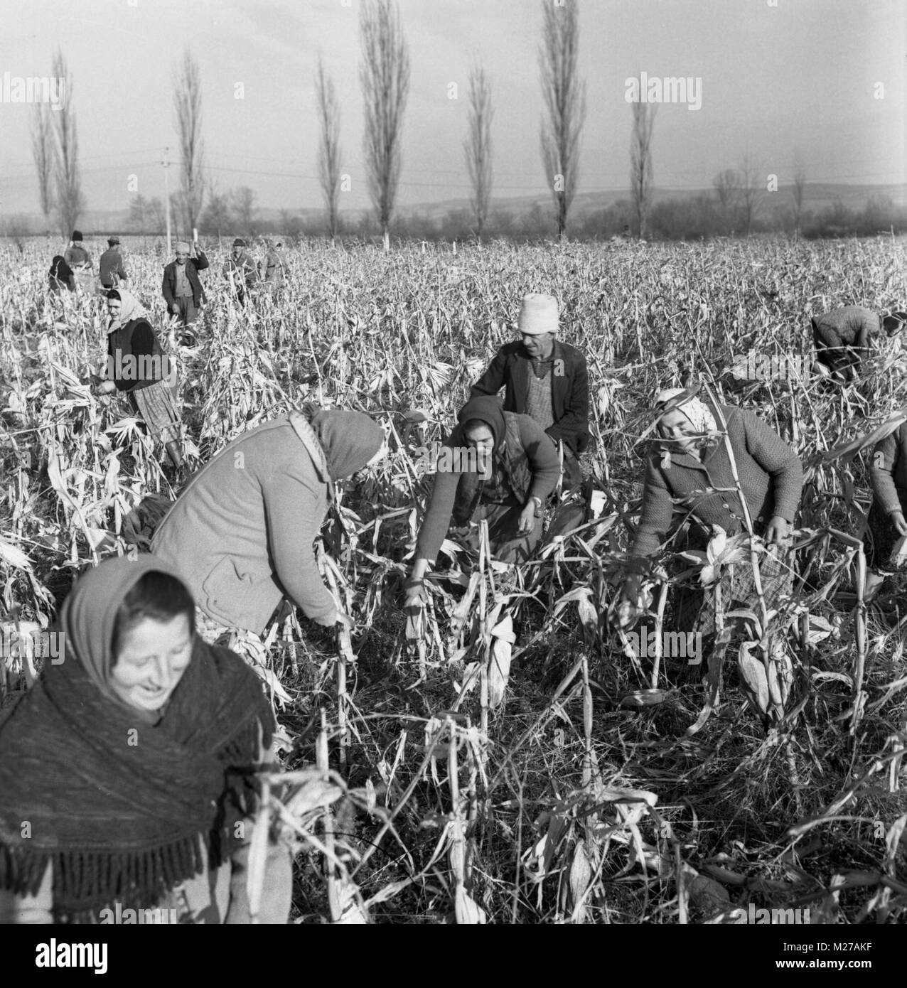 Peasants Working Field High Resolution Stock Photography and Images - Alamy