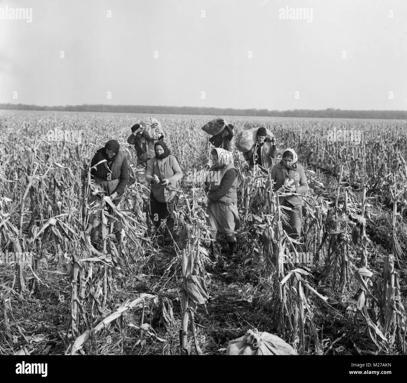 1970s agricultural community hi-res stock photography and images - Alamy