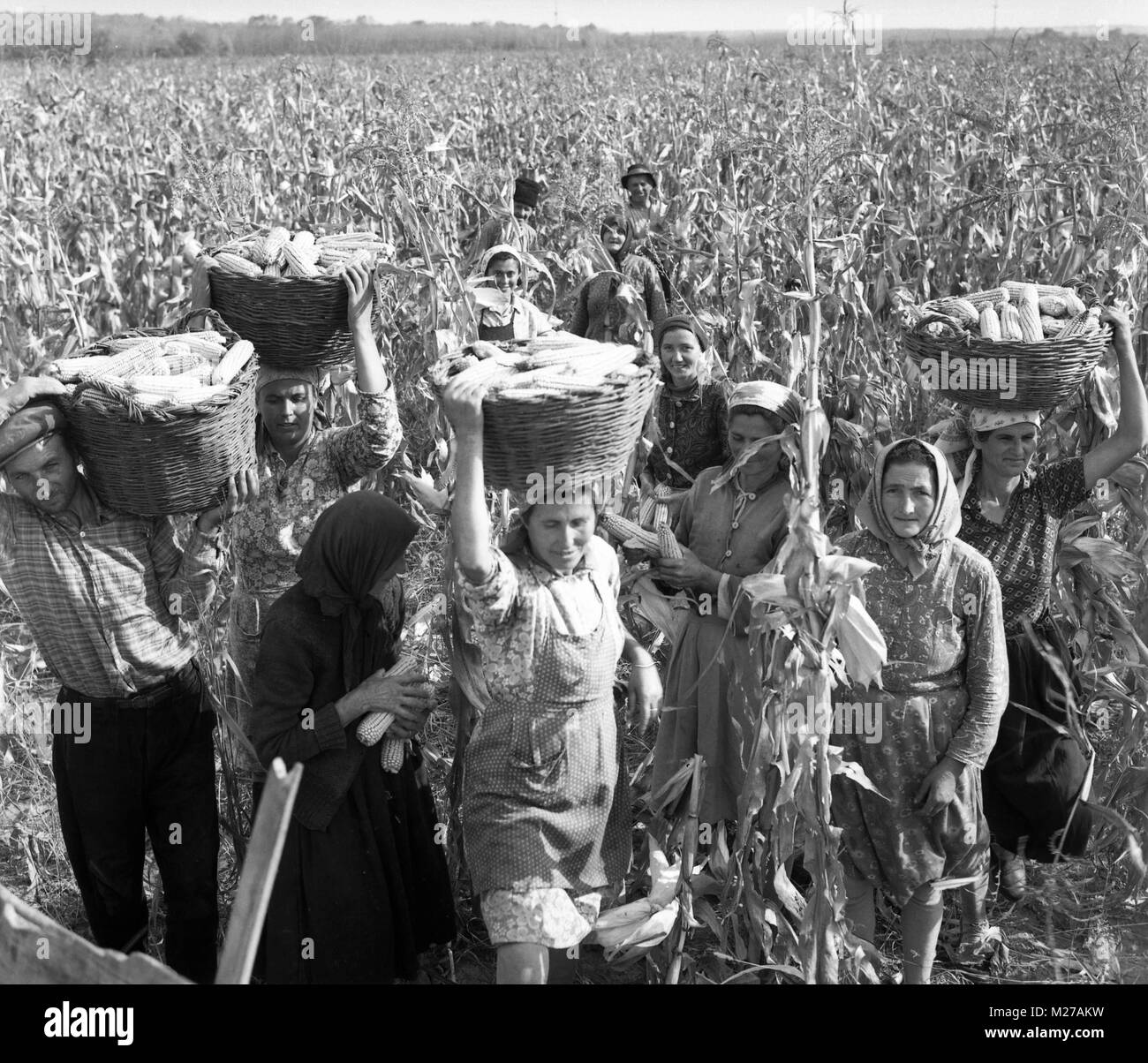 State agricultural cooperative in communist Romania, in the 1970s ...