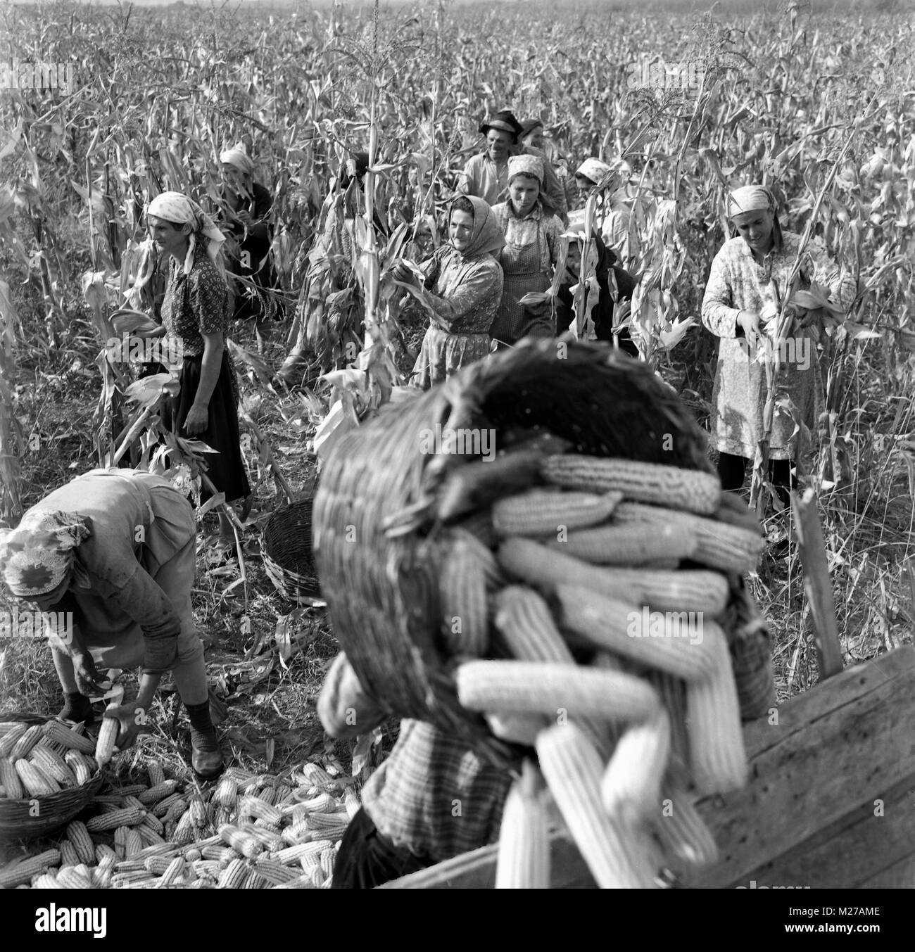 1970s agricultural community hi-res stock photography and images - Alamy