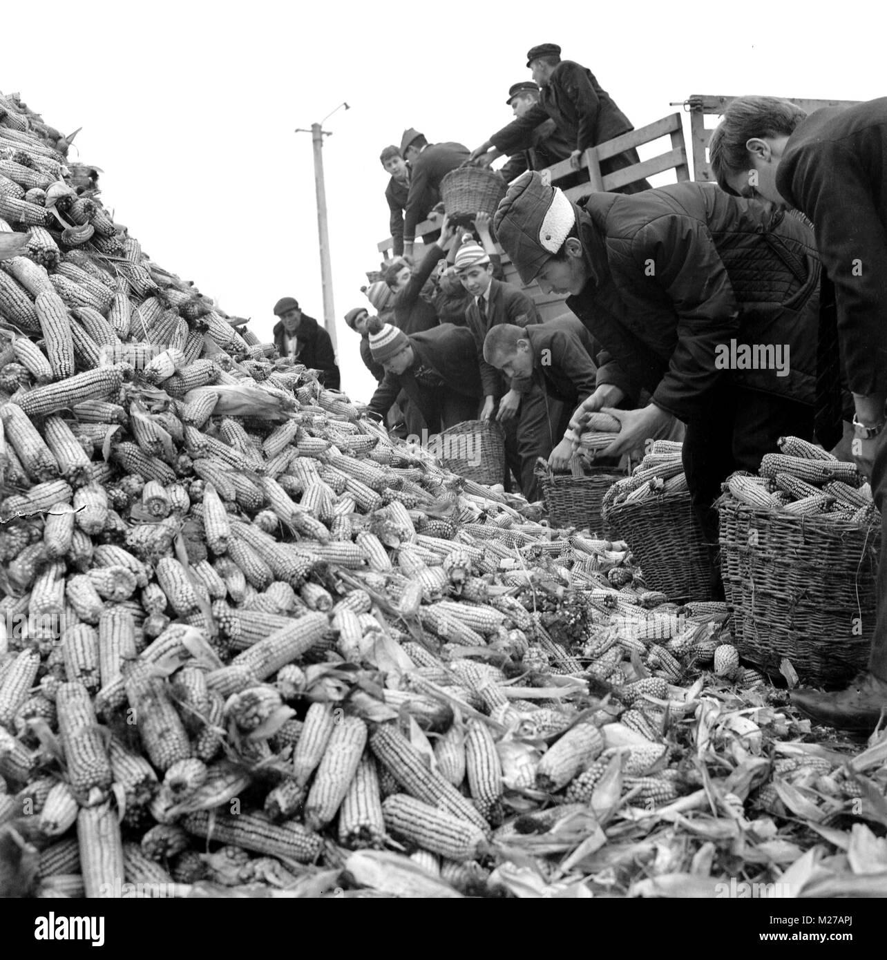 State agricultural cooperative in communist Romania, in the 1970s ...
