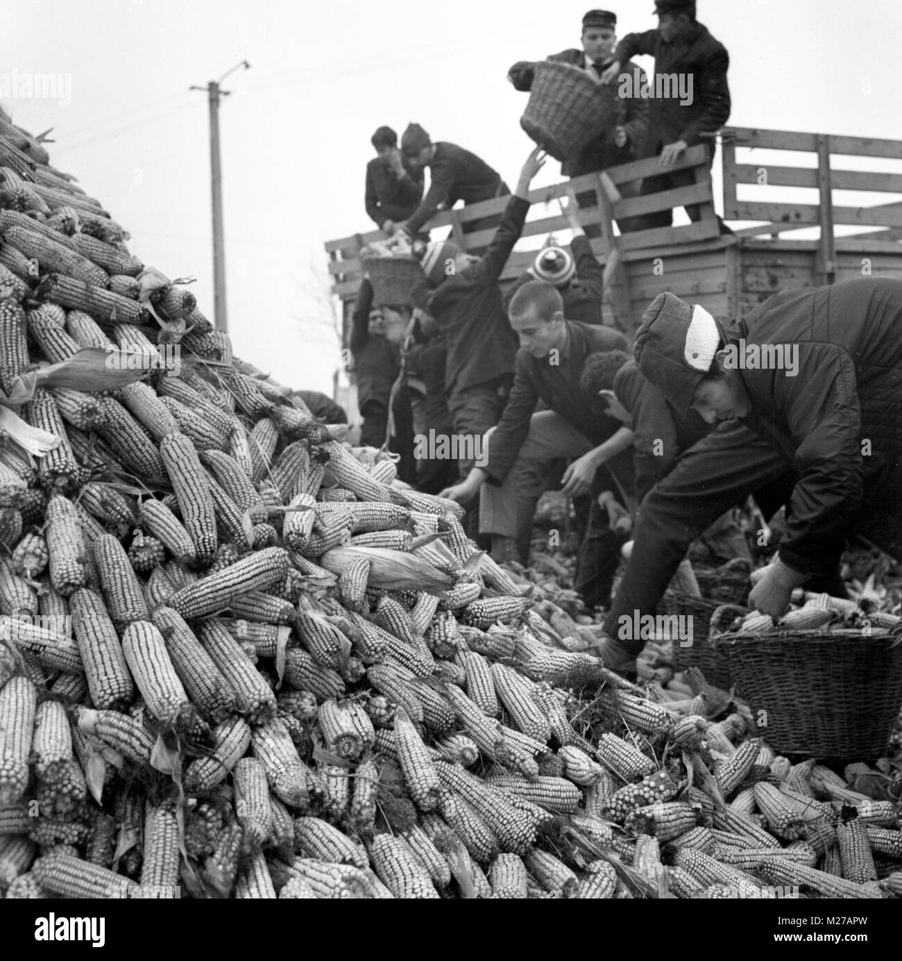 State agricultural cooperative in communist Romania, in the 1970s ...