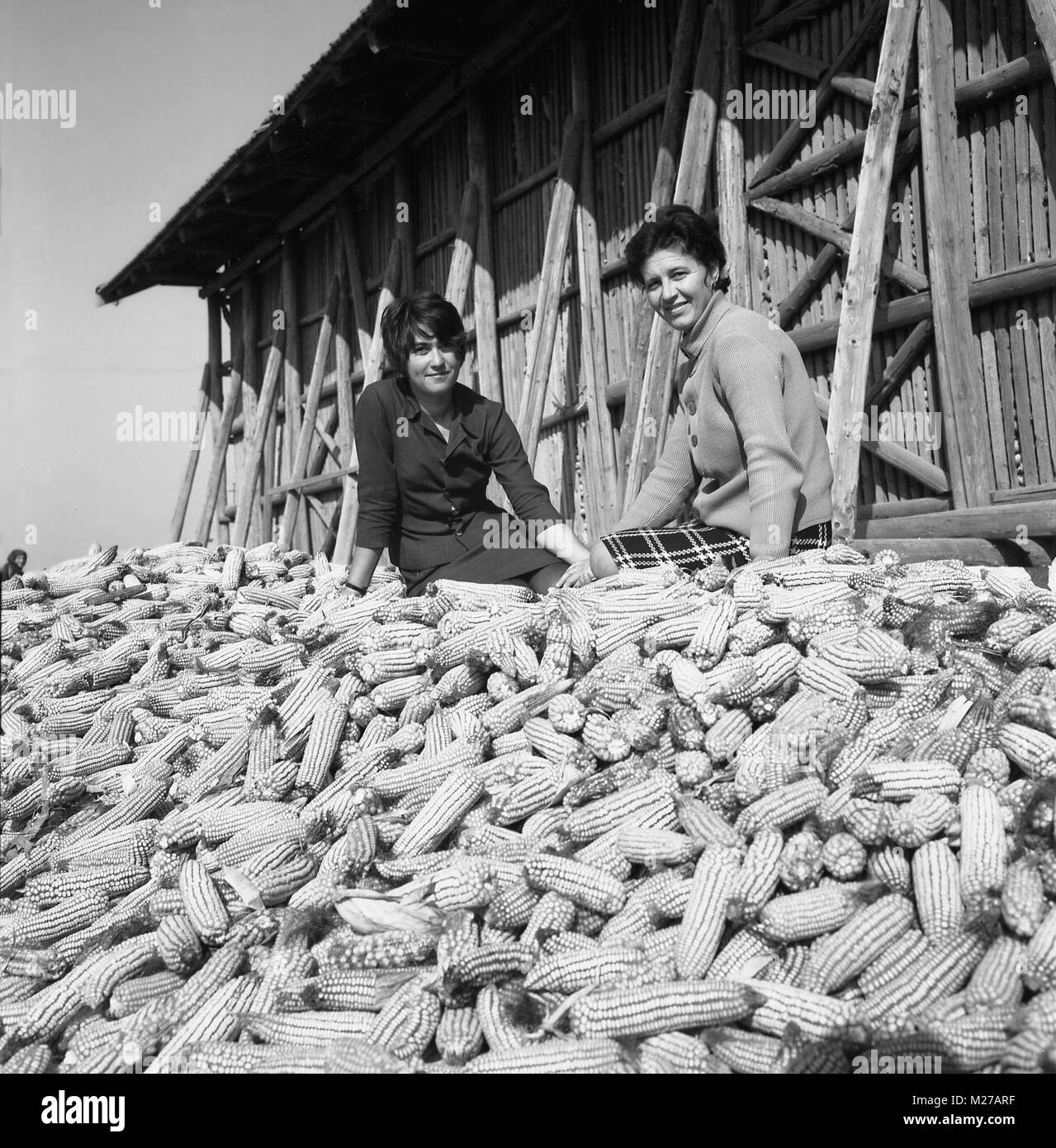 Women posing on pile of harvested corn at the Agricultural Cooperative ...