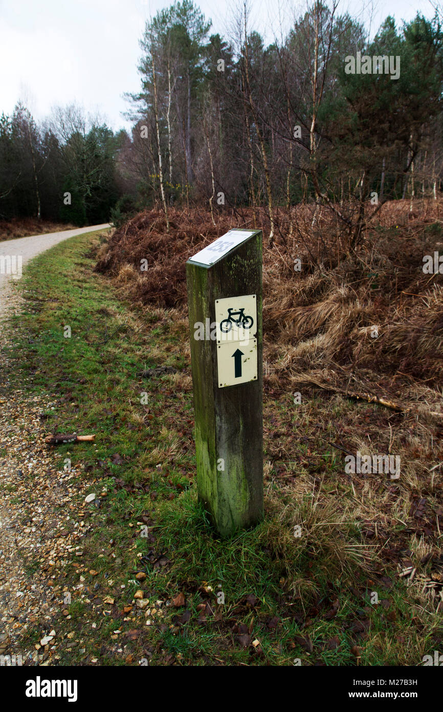 Sign marking a cycling trail in the New Forest, England. The forest has ...