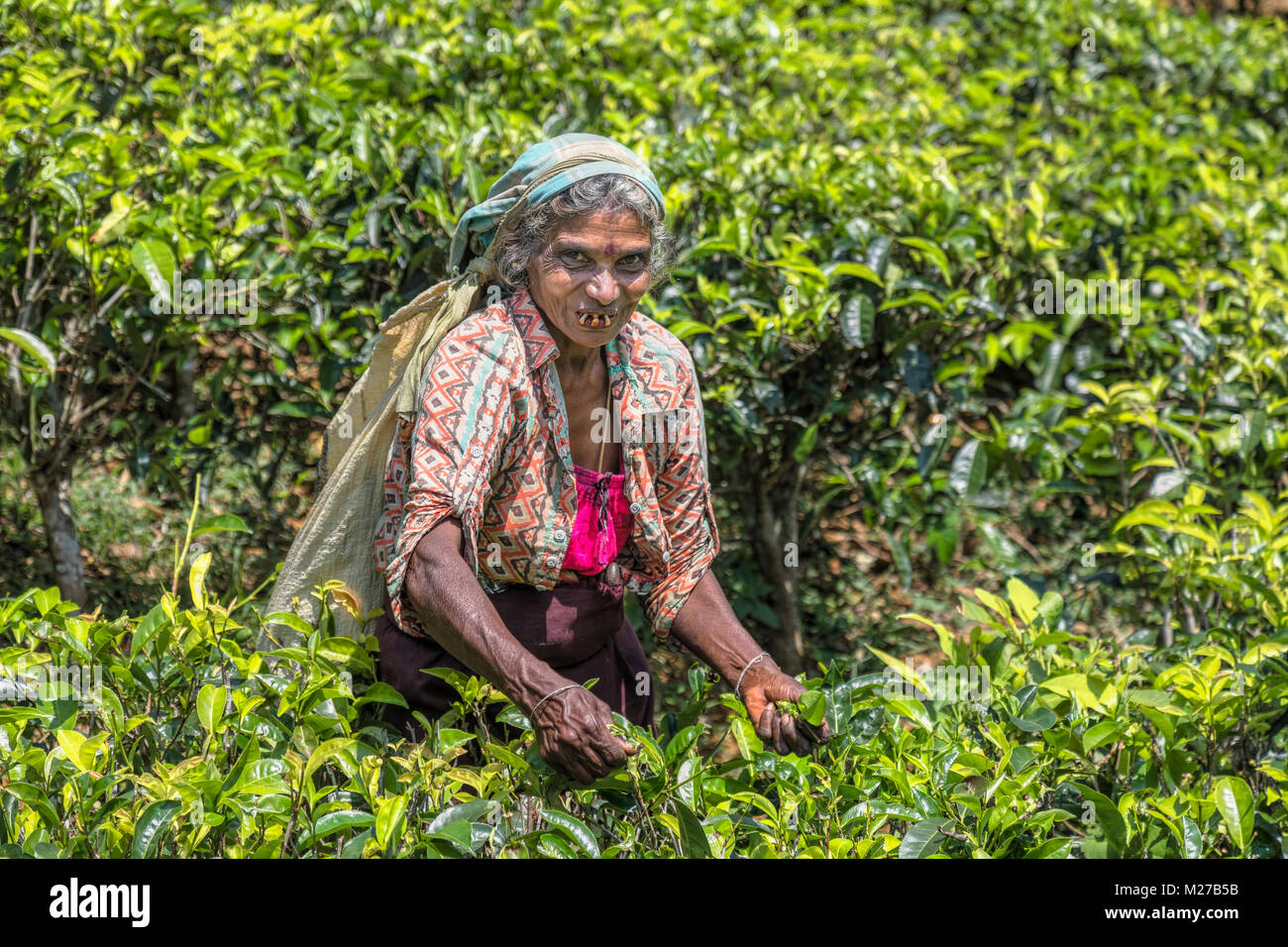 Ramboda falls sri lanka hi-res stock photography and images - Alamy