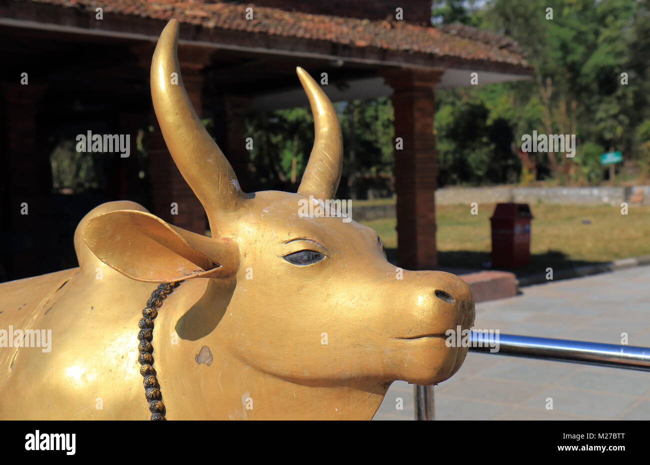 Worship of the cow hi-res stock photography and images - Alamy