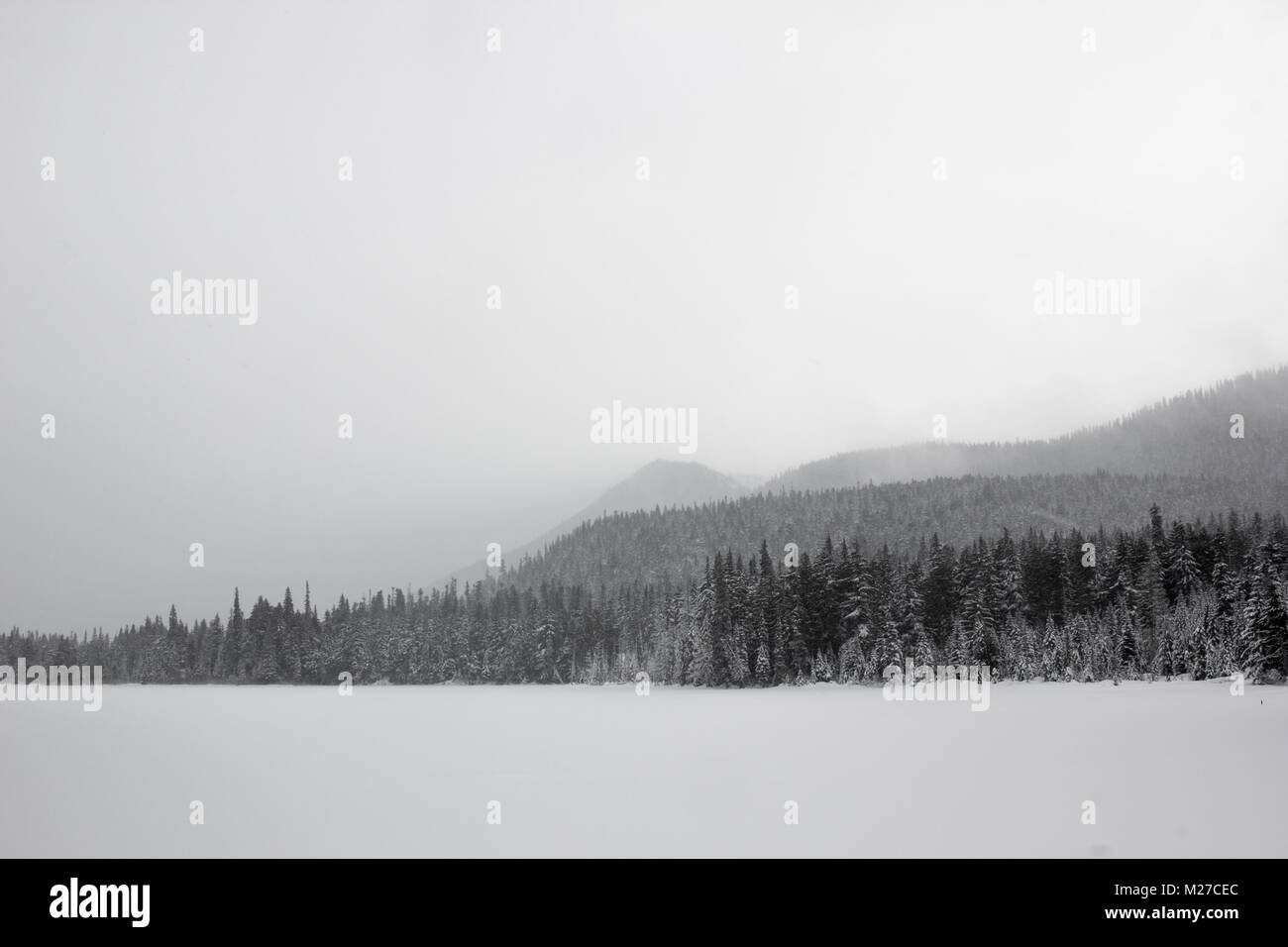 White pass ski resort hi-res stock photography and images - Alamy