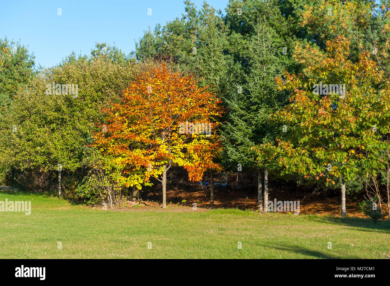 Changing colors hi-res stock photography and images - Alamy