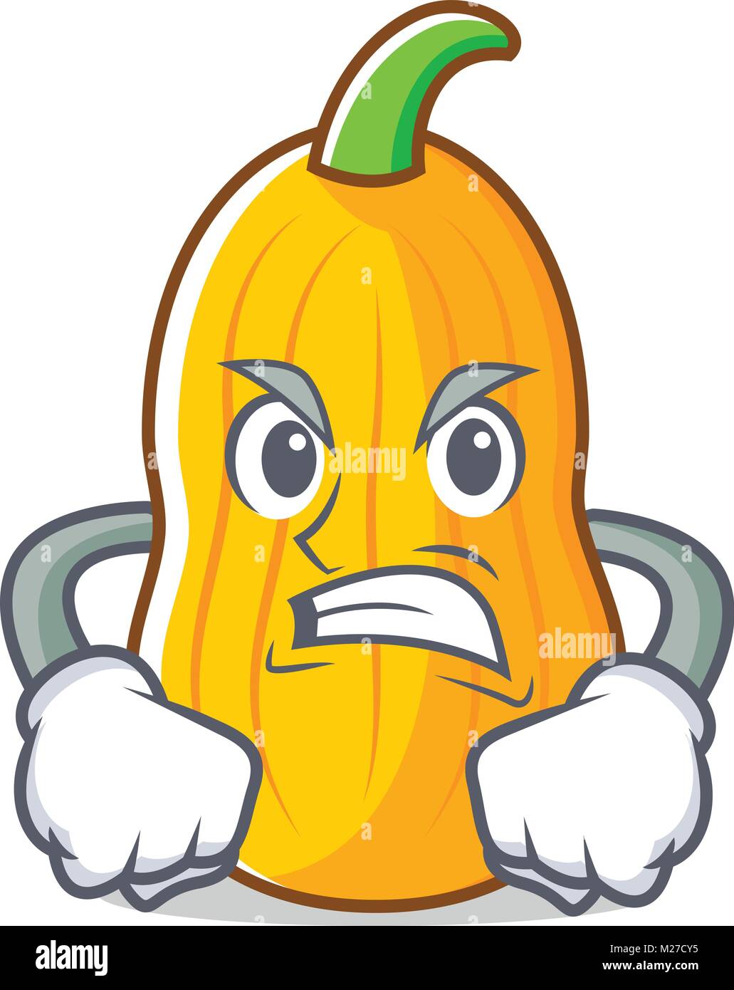 Angry butternut squash mascot cartoon Stock Vector Image & Art - Alamy