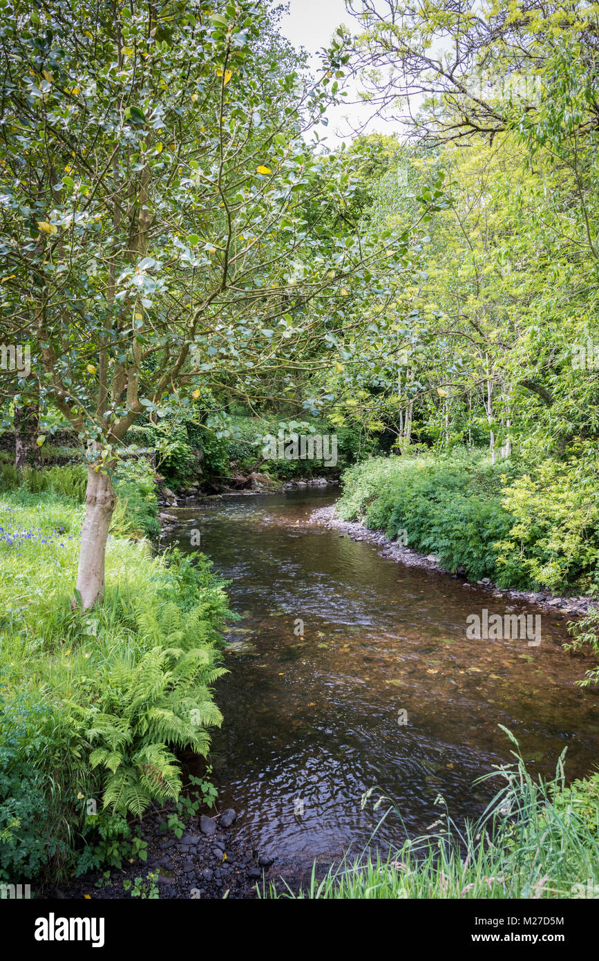 Stream running through a meadow Stock Photo - Alamy