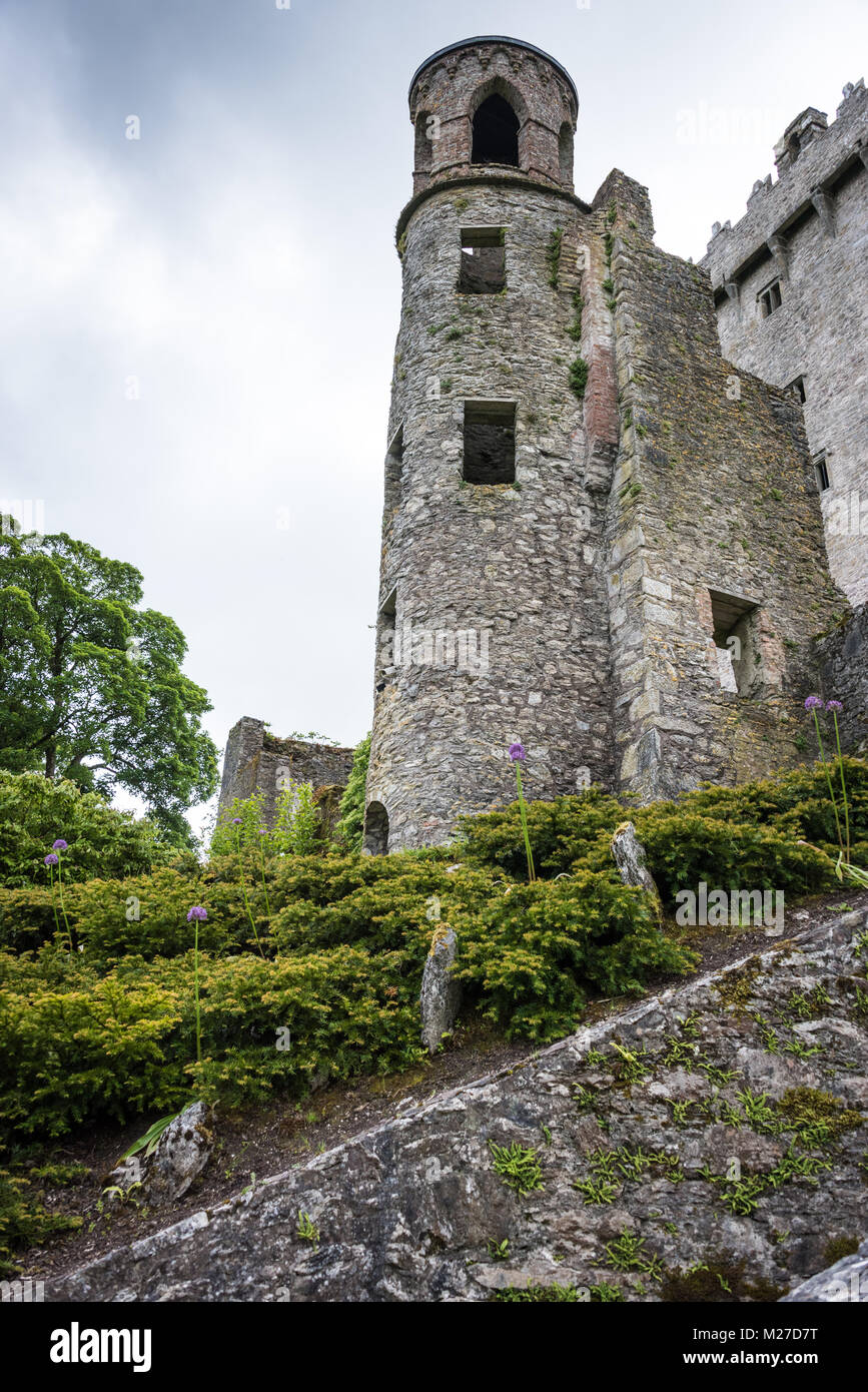 Cork sightseeing hi-res stock photography and images - Alamy