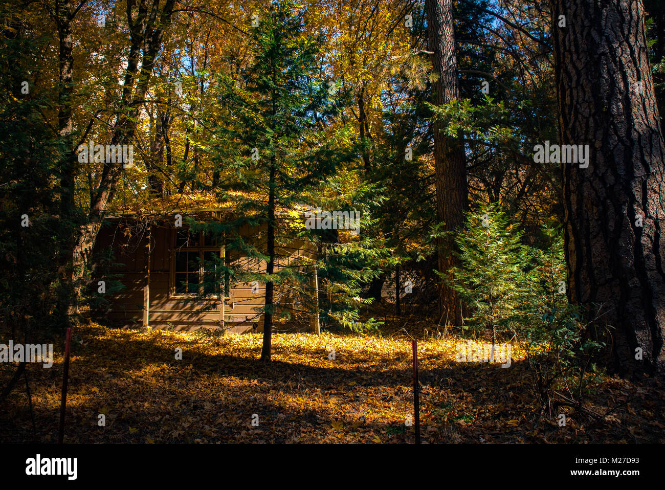 Wood Cabin in the Autumn Forest Stock Photo - Alamy