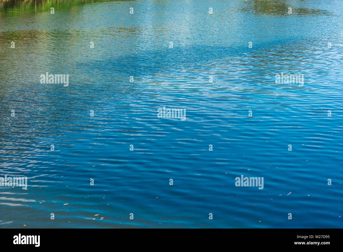 blue ripples on the surface of water in lake Stock Photo - Alamy