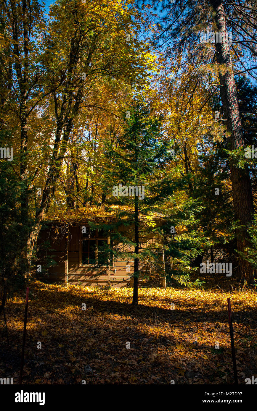 Wood cabin forest hi-res stock photography and images - Alamy