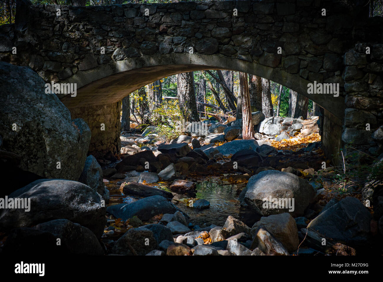 Yosemite park forest hi-res stock photography and images - Alamy