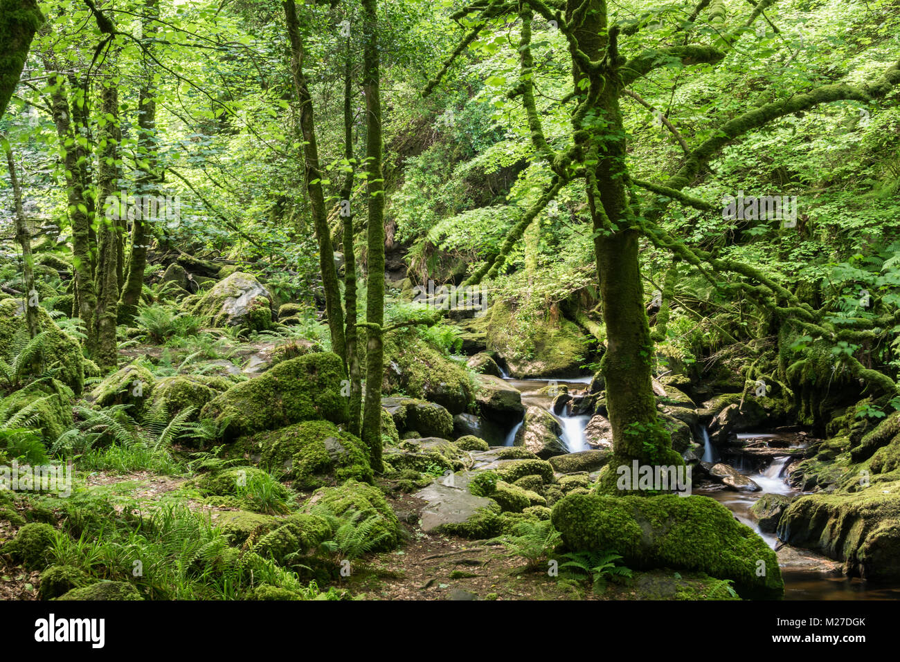 Torc Waterfall, Ring of Kerry, Ireland Stock Photo - Alamy