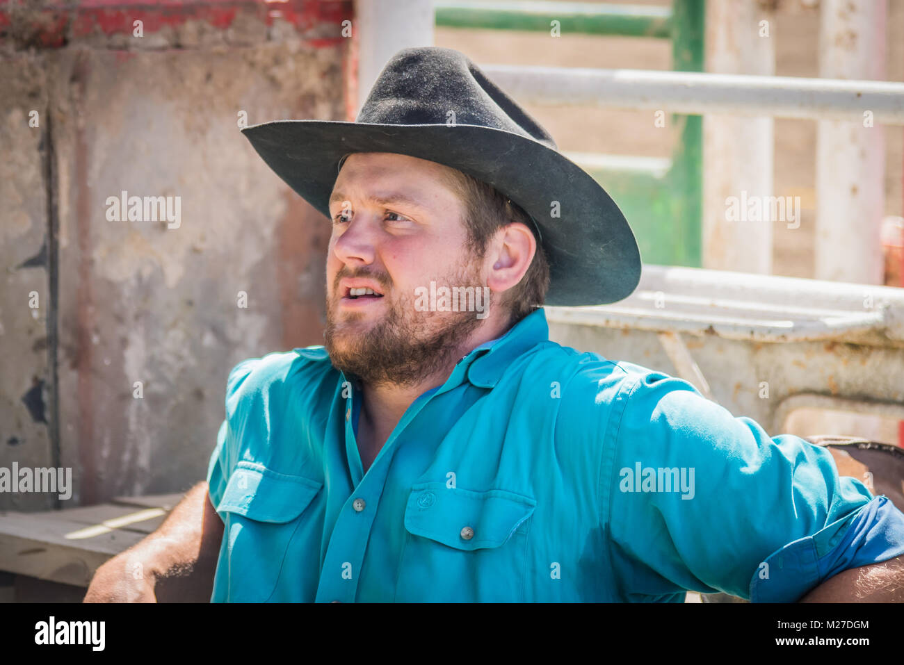 A cowboy waits behind the chutes at the 90th Williams Lake Stampede ...