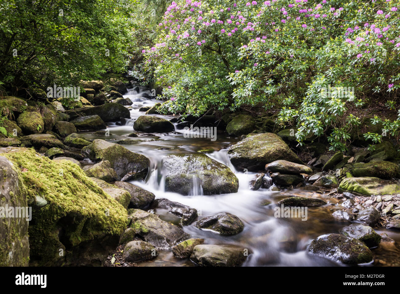 Ring Of Kerry Ireland Waterfall High Resolution Stock Photography and ...