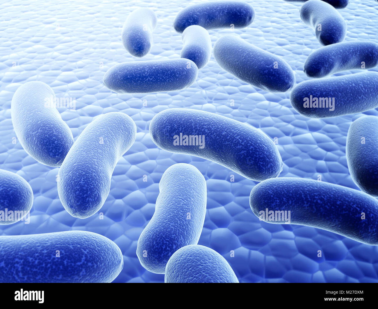 Microbe host cell hi-res stock photography and images - Alamy