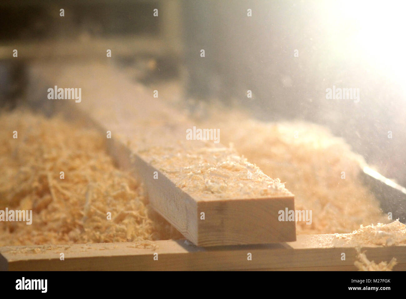 Chain saw timber factory hi-res stock photography and images - Alamy