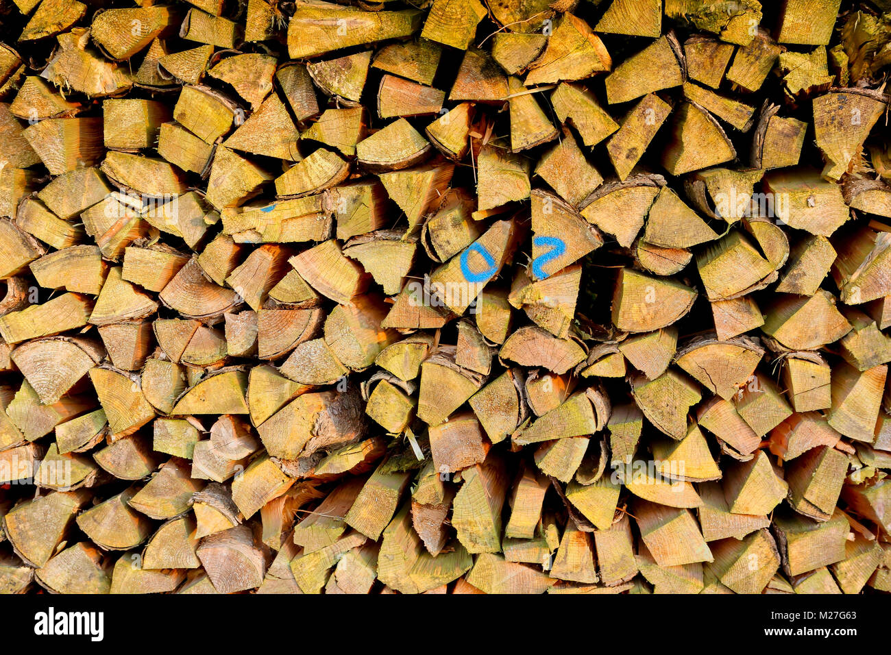 Pile logs after forest felling hi-res stock photography and images - Alamy