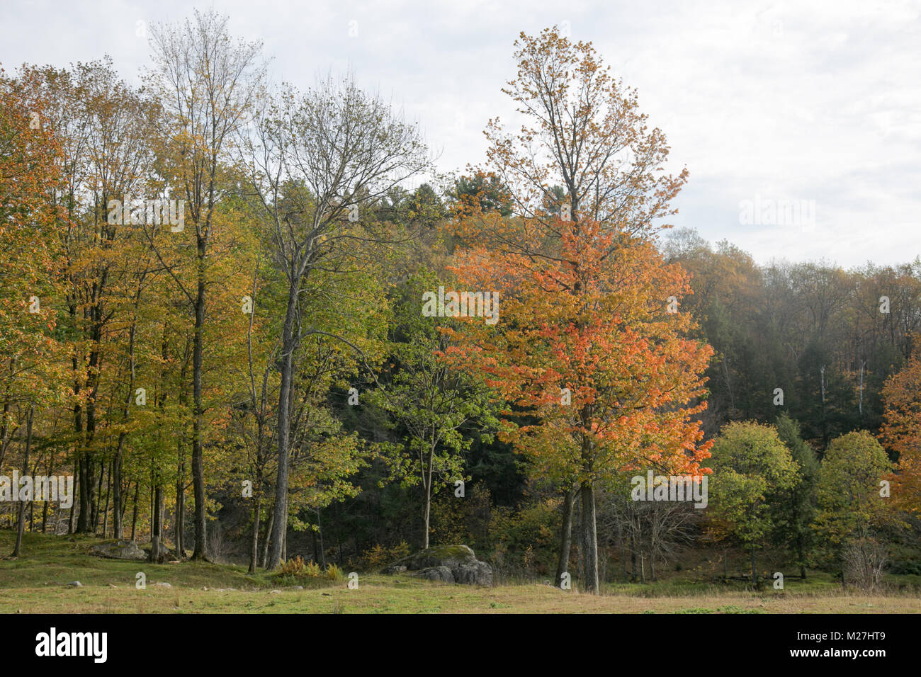 Fall in Quebec, Canada Stock Photo - Alamy