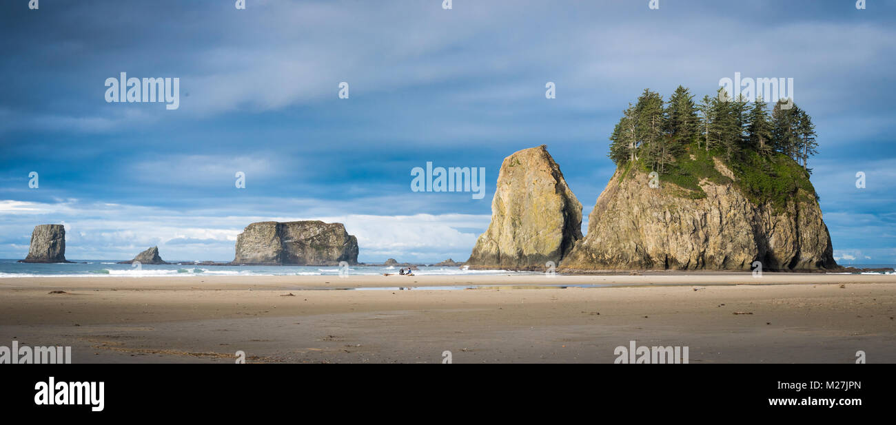Pacific coast beach with sea stacks in the background Stock Photo - Alamy