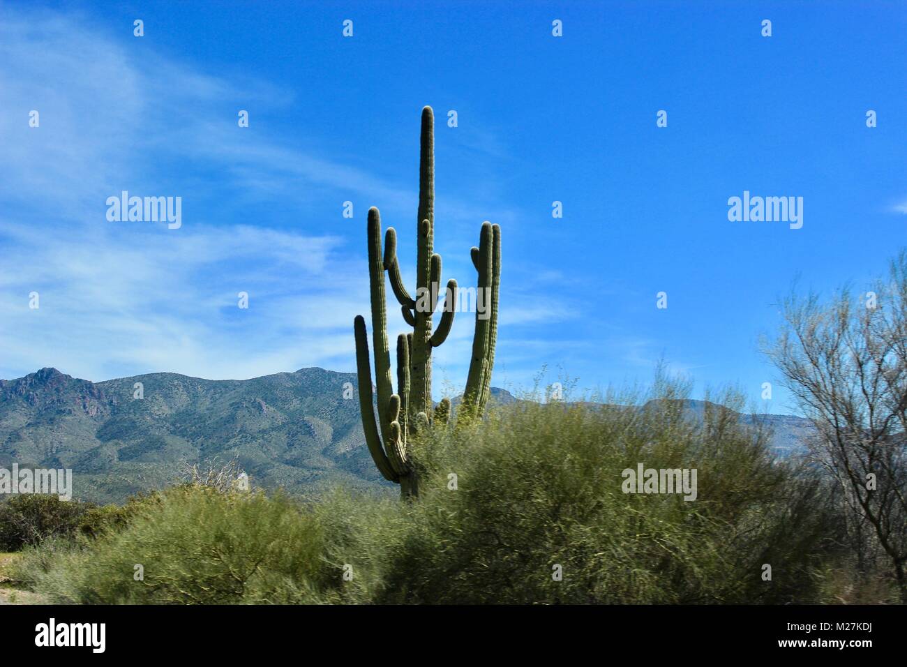 Camp Carson High Resolution Stock Photography and Images - Alamy