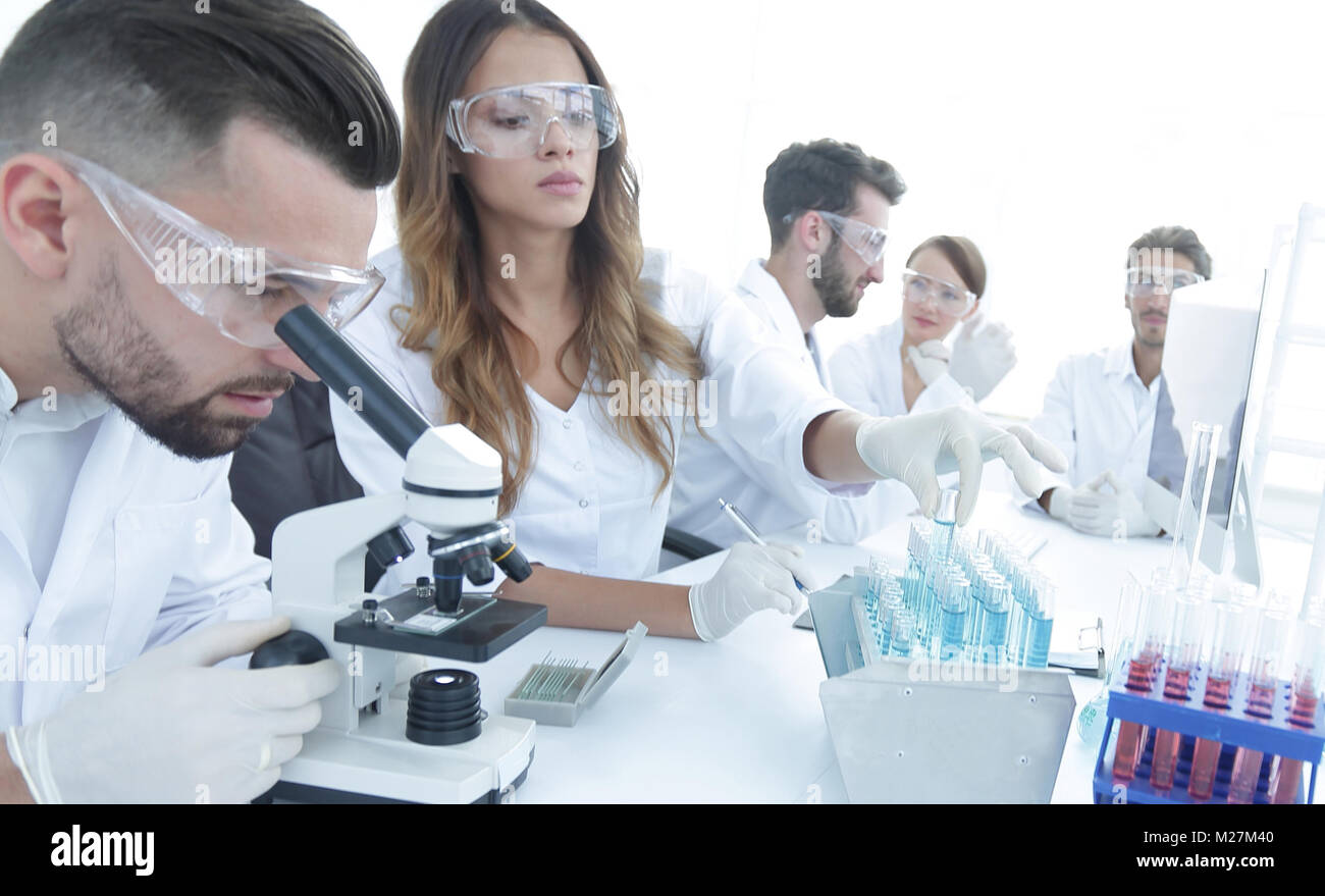 Scientists examining in the lab with test tubes Stock Photo - Alamy