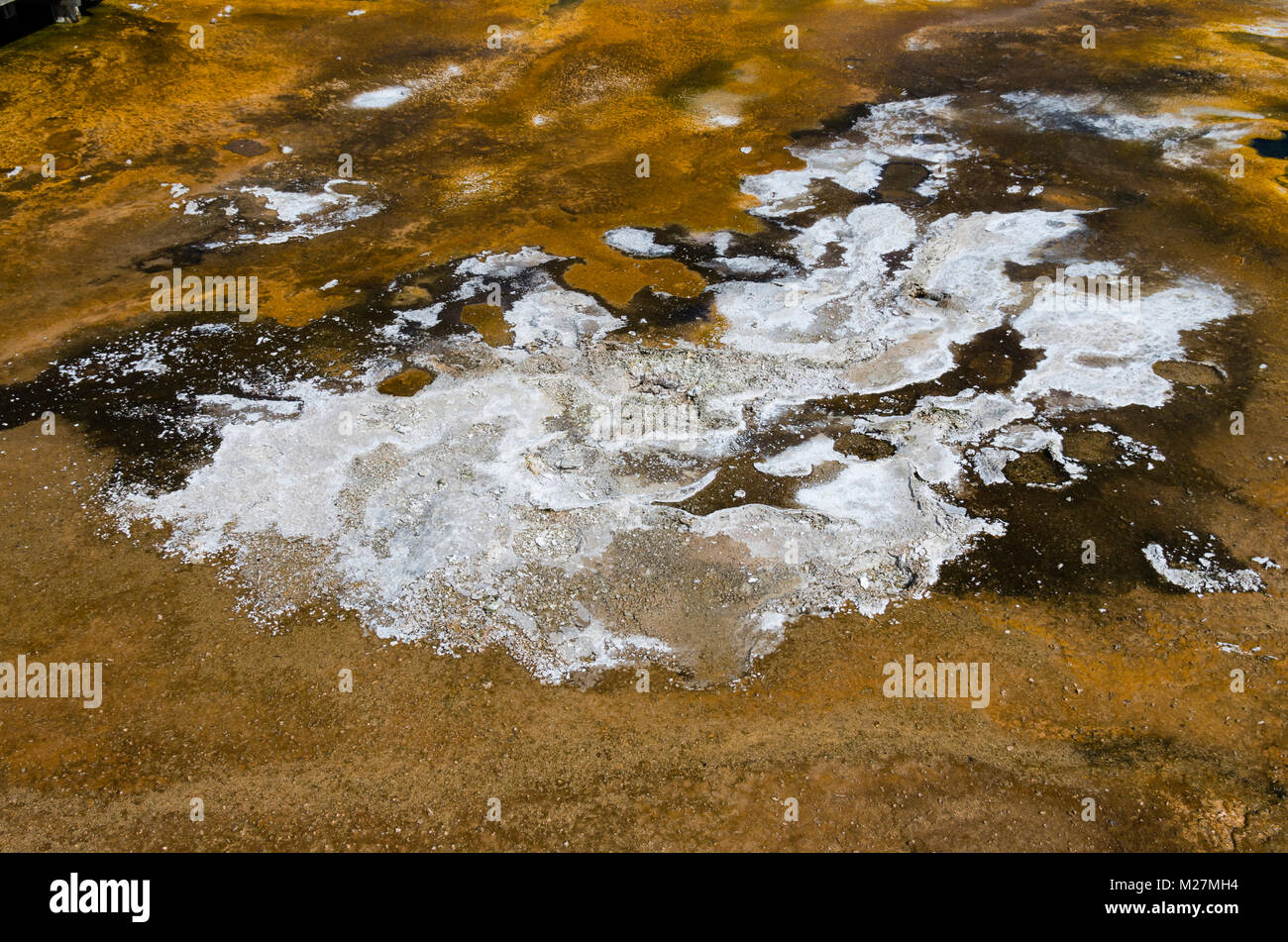 Algae mats growing in warm water from hot springs make interesting ...