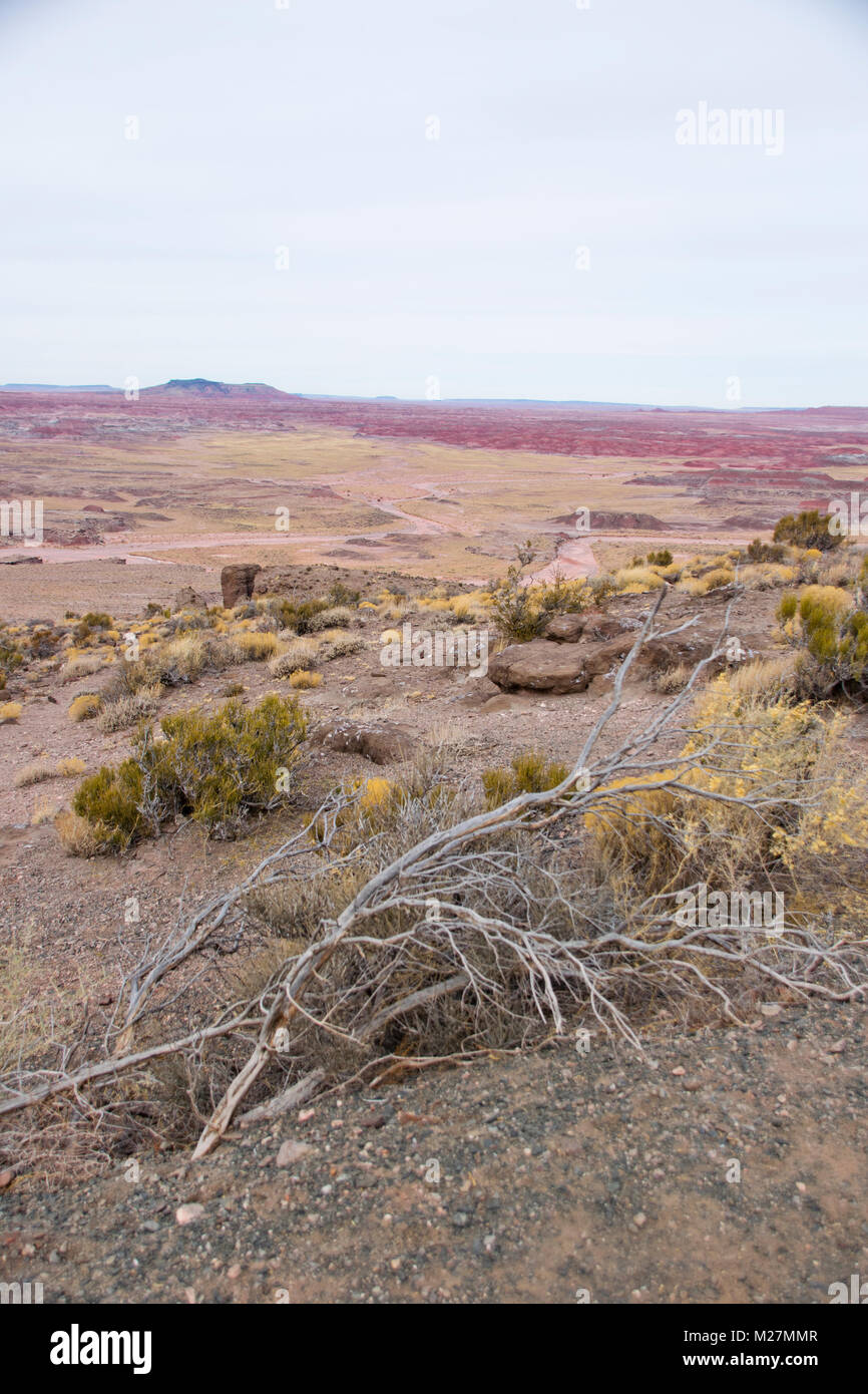 Painted desert red rocks hi-res stock photography and images - Alamy
