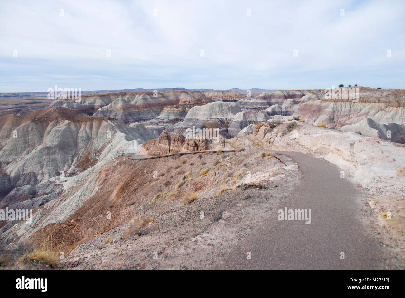 Painted Desert, Petrified Forest National Park in Arizona Stock Photo ...